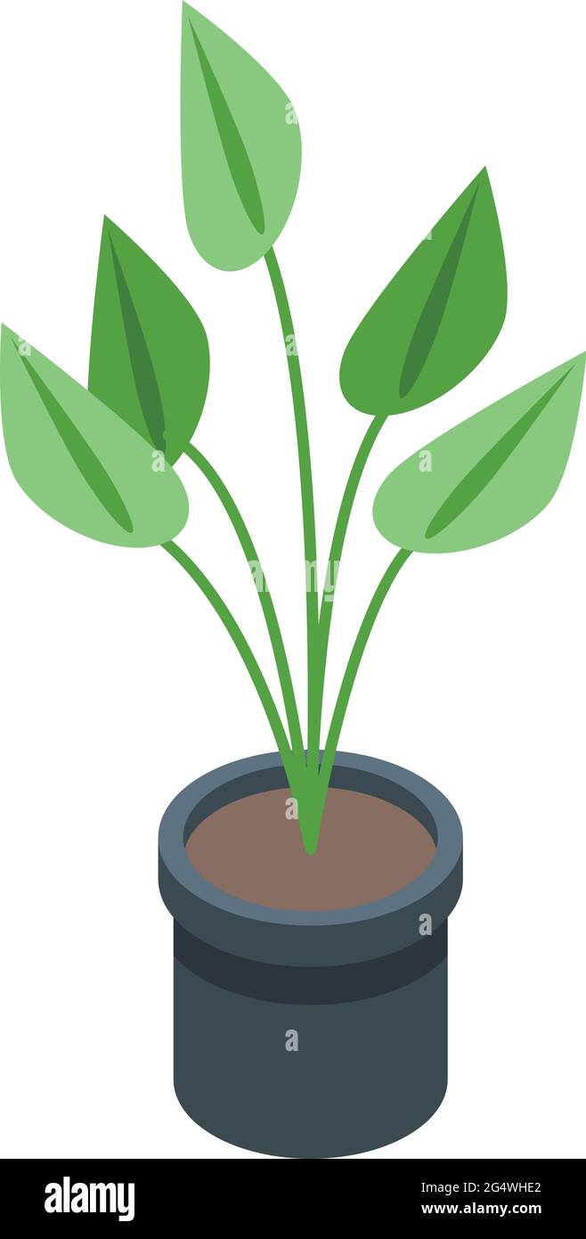 Plant pot icon isometric vector. Flowerpot vase. Garden or room plant ...
