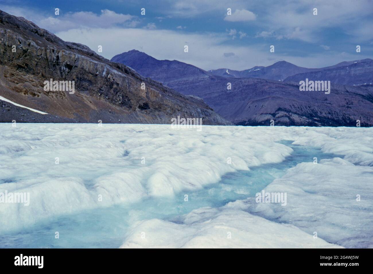 Stream of pure glacier melt water running through Athabasca Glacier in ...