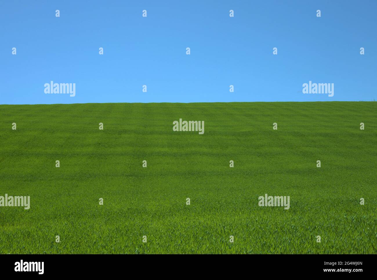Smooth field hi-res stock photography and images - Alamy