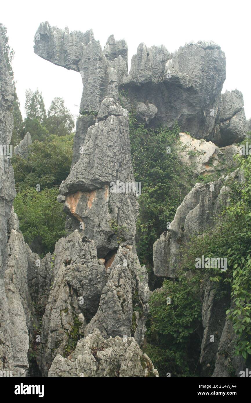 Limestone formations in the Stone Forest (Shilin), tourist attraction ...