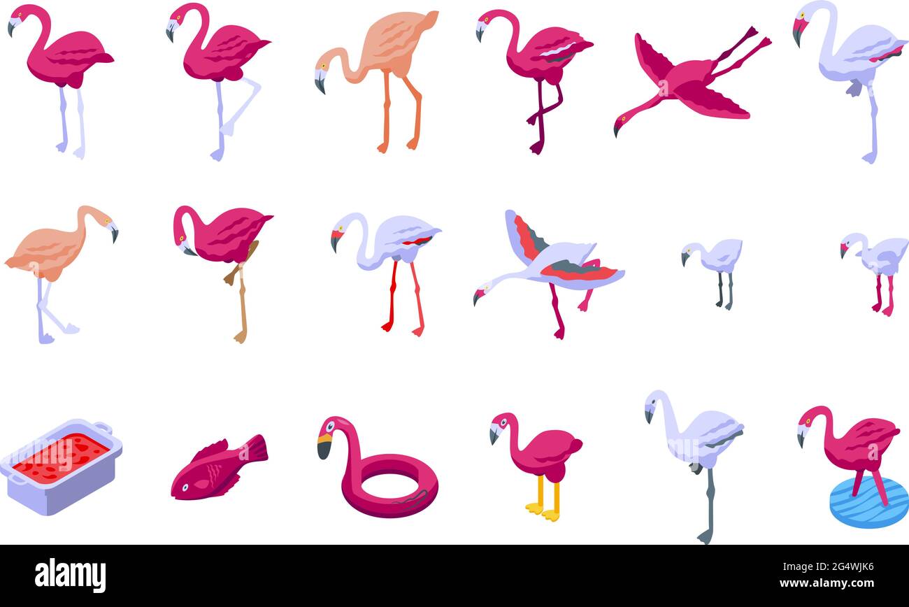 Flamingo icons set. Isometric set of flamingo vector icons for web ...