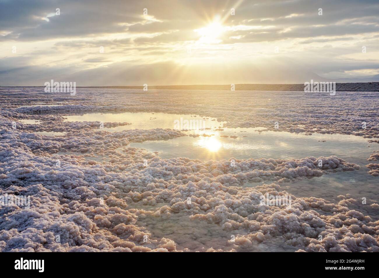 Crystalline white salt beach lit by morning sun reflected in small ...