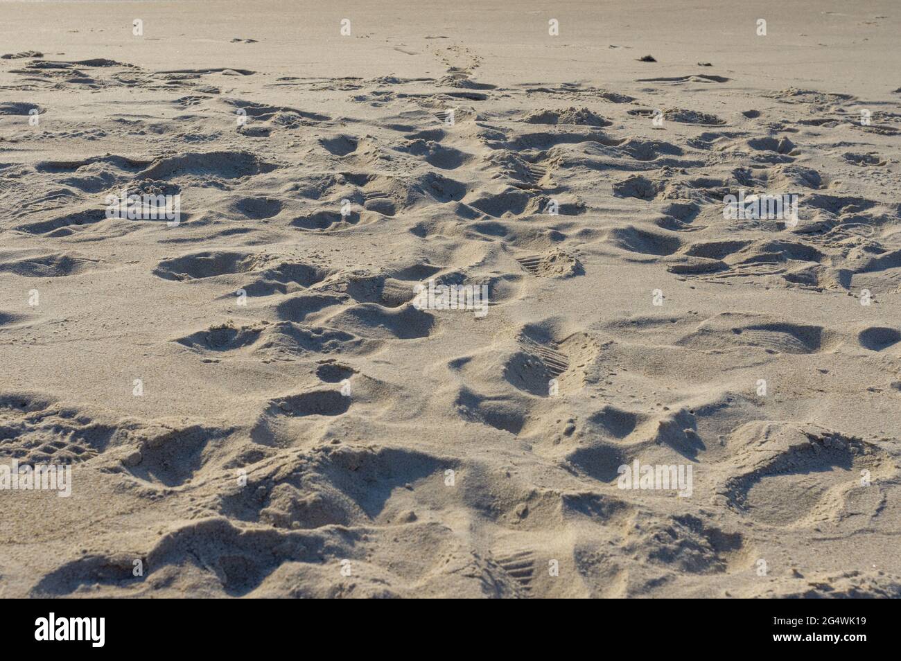 Wide background with numerous footprints on the sand Stock Photo - Alamy