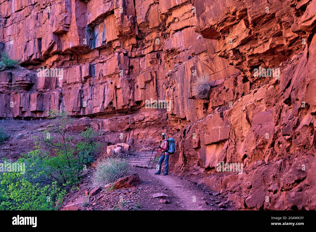 Hiking the North Kaibab Trail, Grand Canyon National Park, Arizona, U.S ...