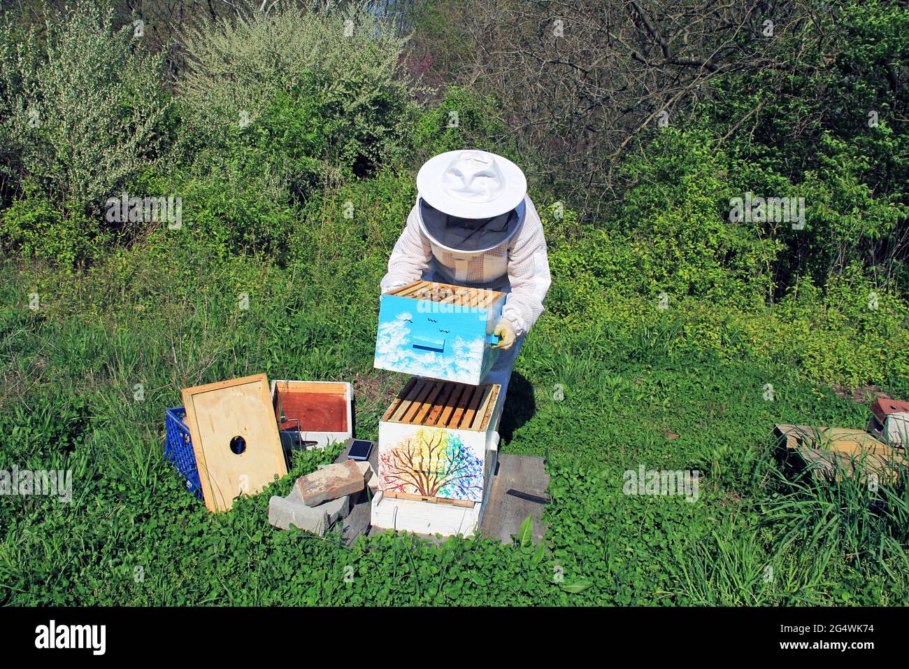 Bee keeper net hi-res stock photography and images - Alamy