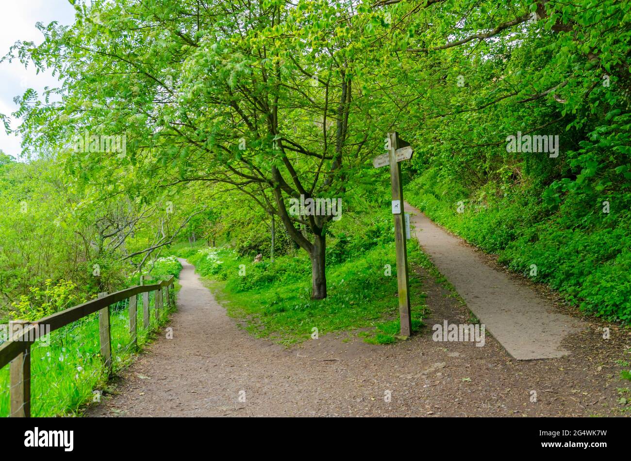 A Crossroads of Riverside Pathways at Warkworth, Northumberland Stock ...