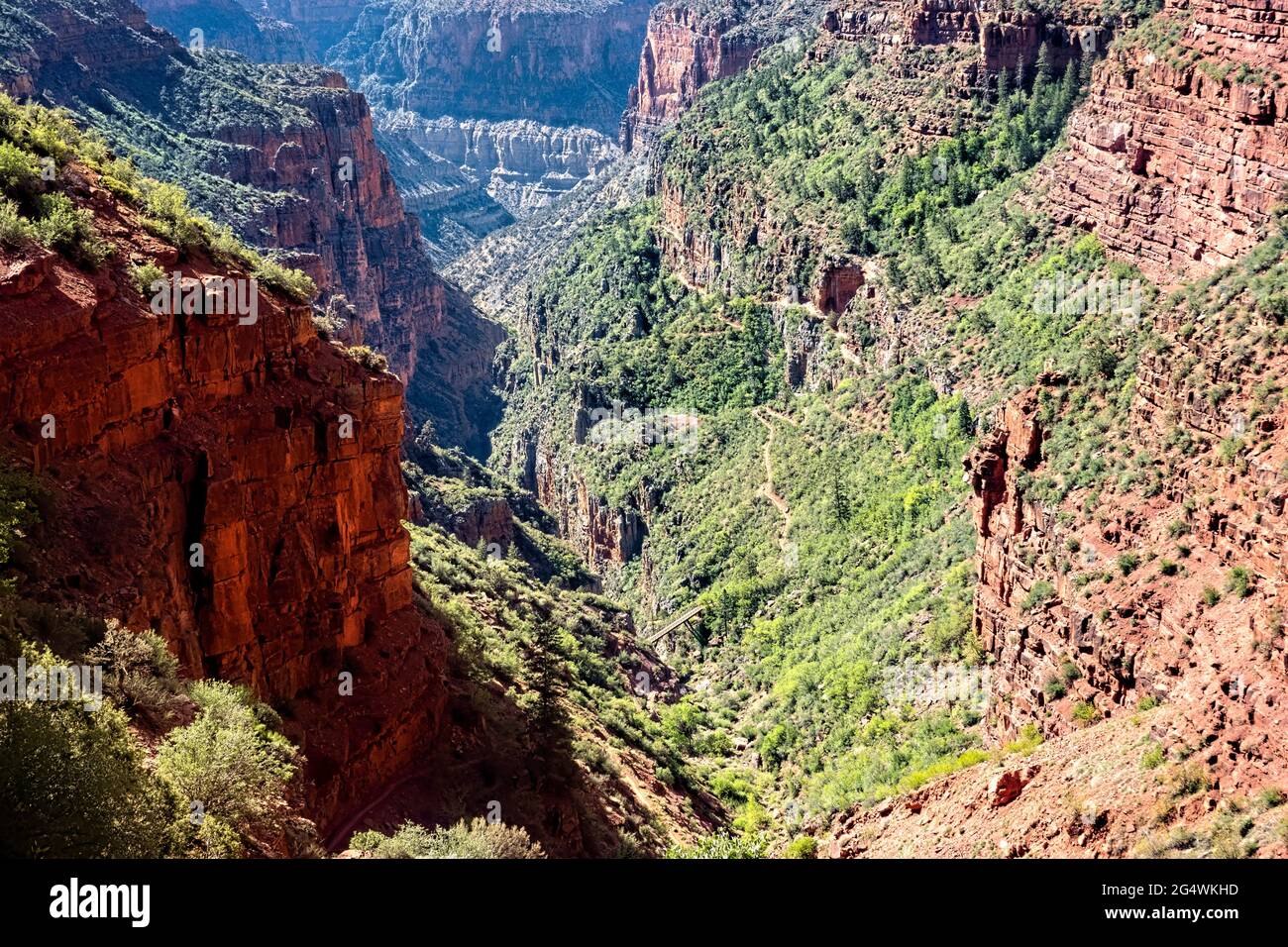 View of the North Kaibab Trail, Grand Canyon National Park, Arizona, U ...