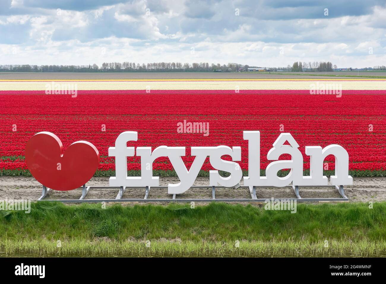 Large Love Fryslân sign in front of a tulip field. The heart form is ...