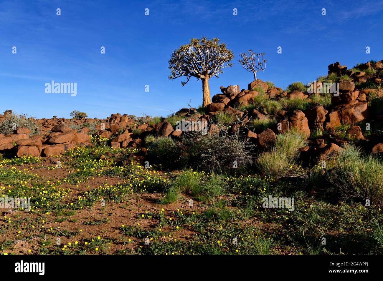 Giants' Playground on Farm Gariganus east Keetmanshoop: weathered ...