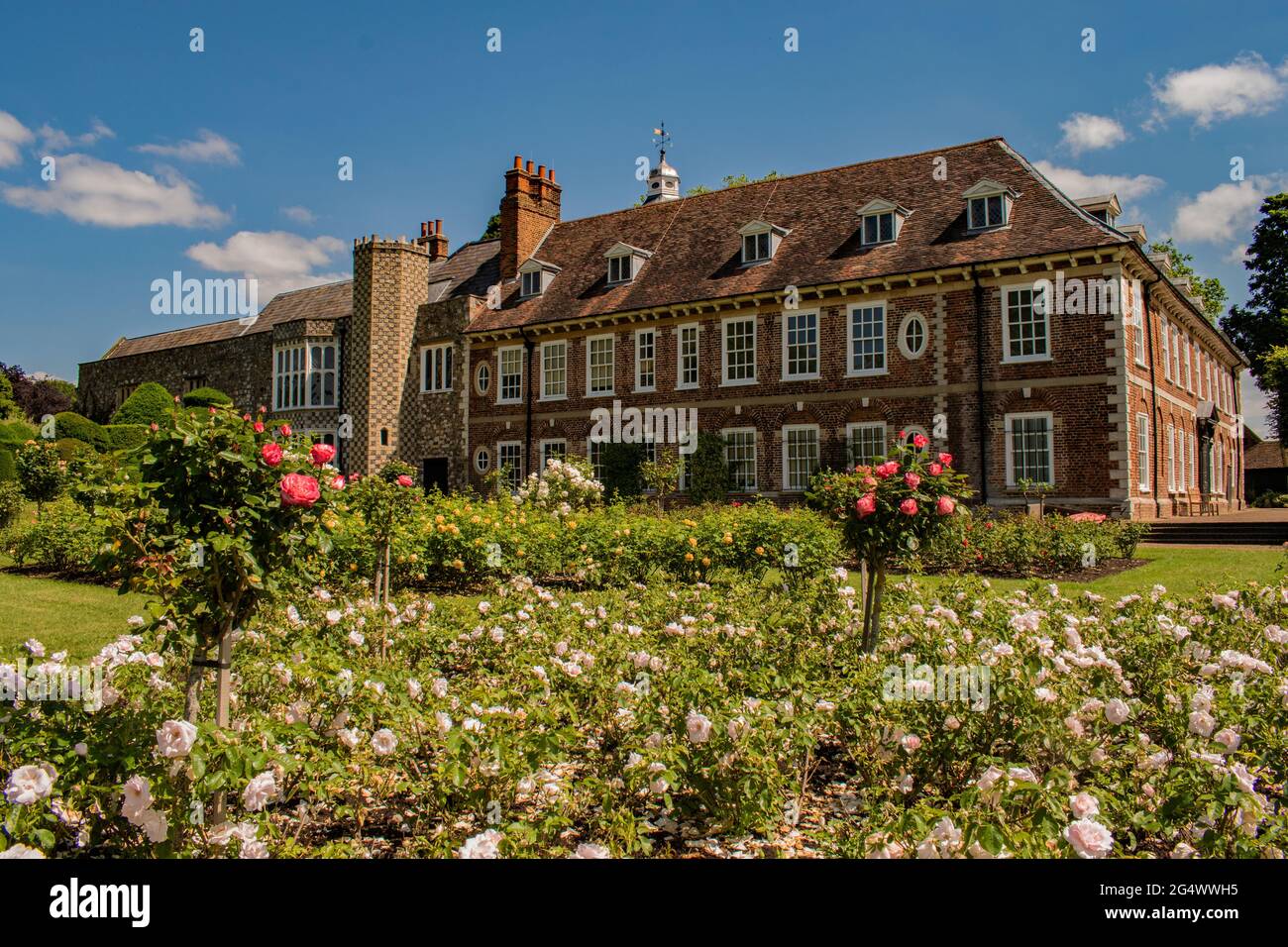 Tudor rose garden hi-res stock photography and images - Alamy