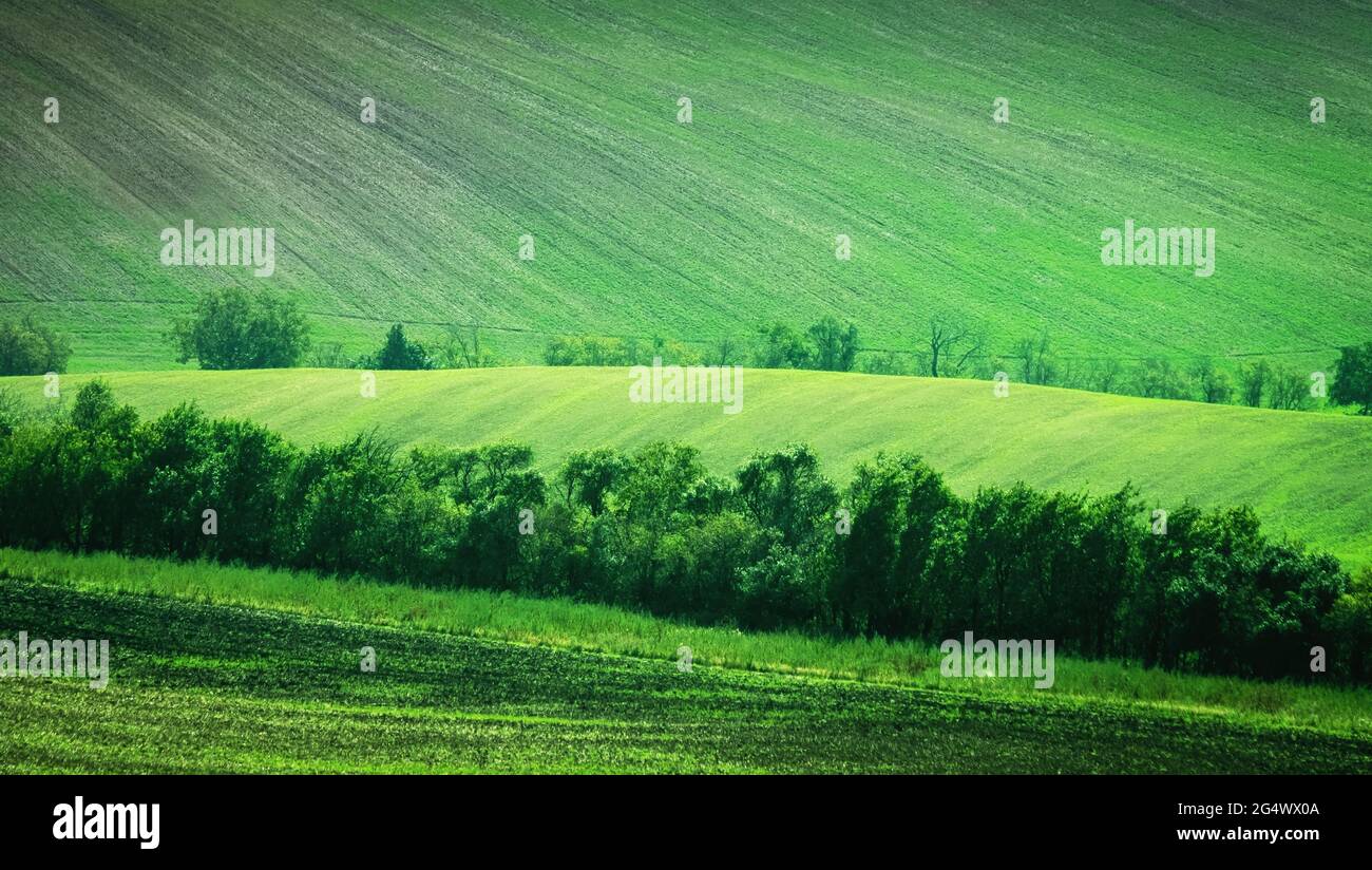 Green countryside landscape of hill with trees and fields Stock Photo ...