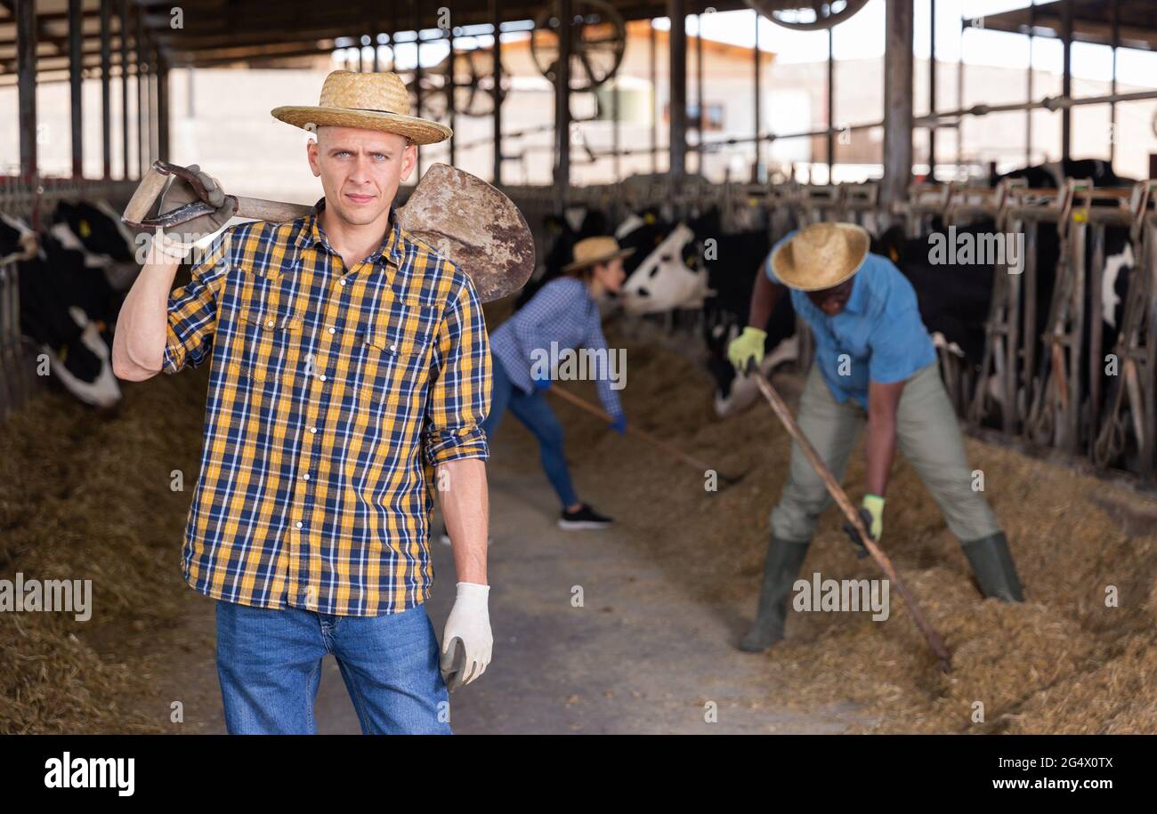 Confident owner of dairy farm standing on background with cows in stall ...