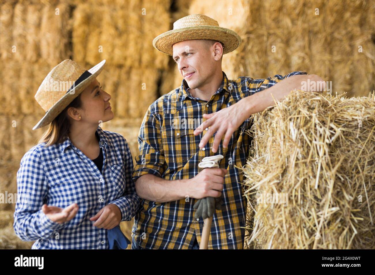 Two hired workers talking during break between work on farm Stock Photo ...