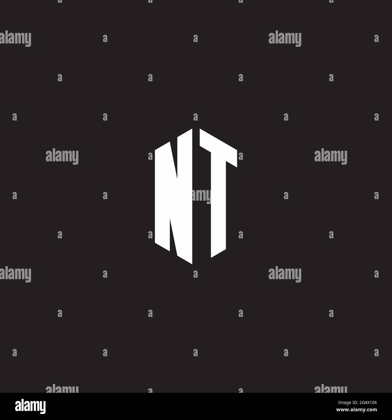 NT Logo monogram with hexagon shape style design template isolated on ...