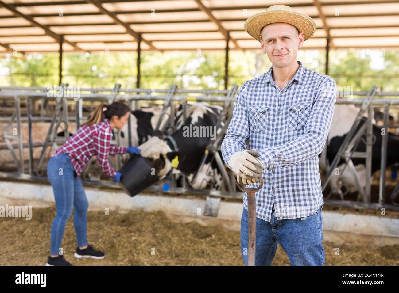 Male farmer posing at cowshed on farm Stock Photo - Alamy