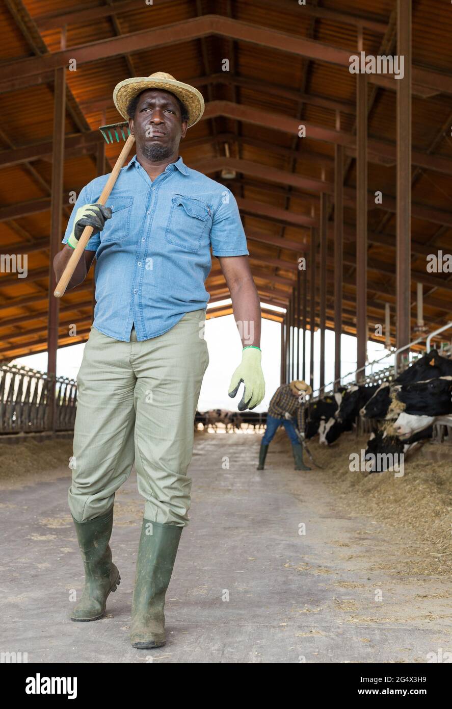 African domestic worker hi-res stock photography and images - Alamy