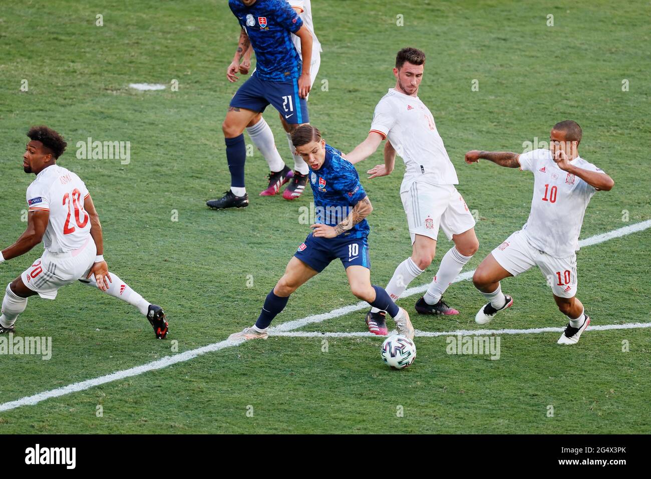 Suslov hi-res stock photography and images - Alamy