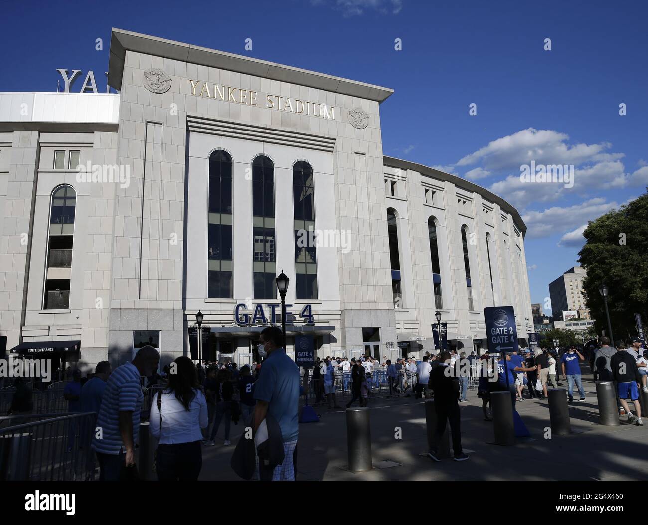 New york yankees fans watch hi-res stock photography and images - Alamy