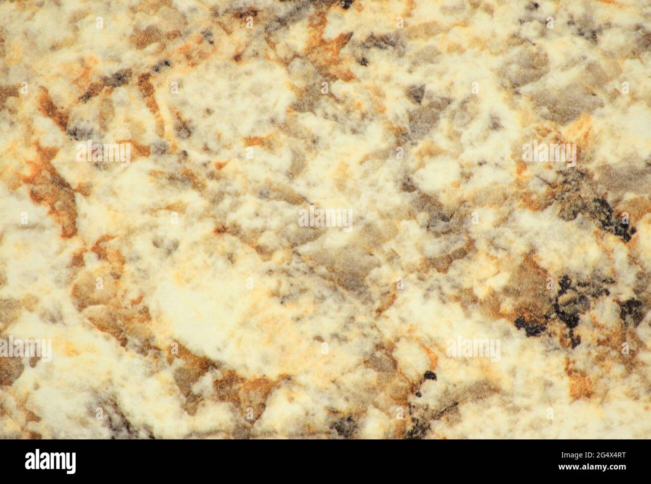 Light beige granite with brown veins and blotches, close-up of a flat ...