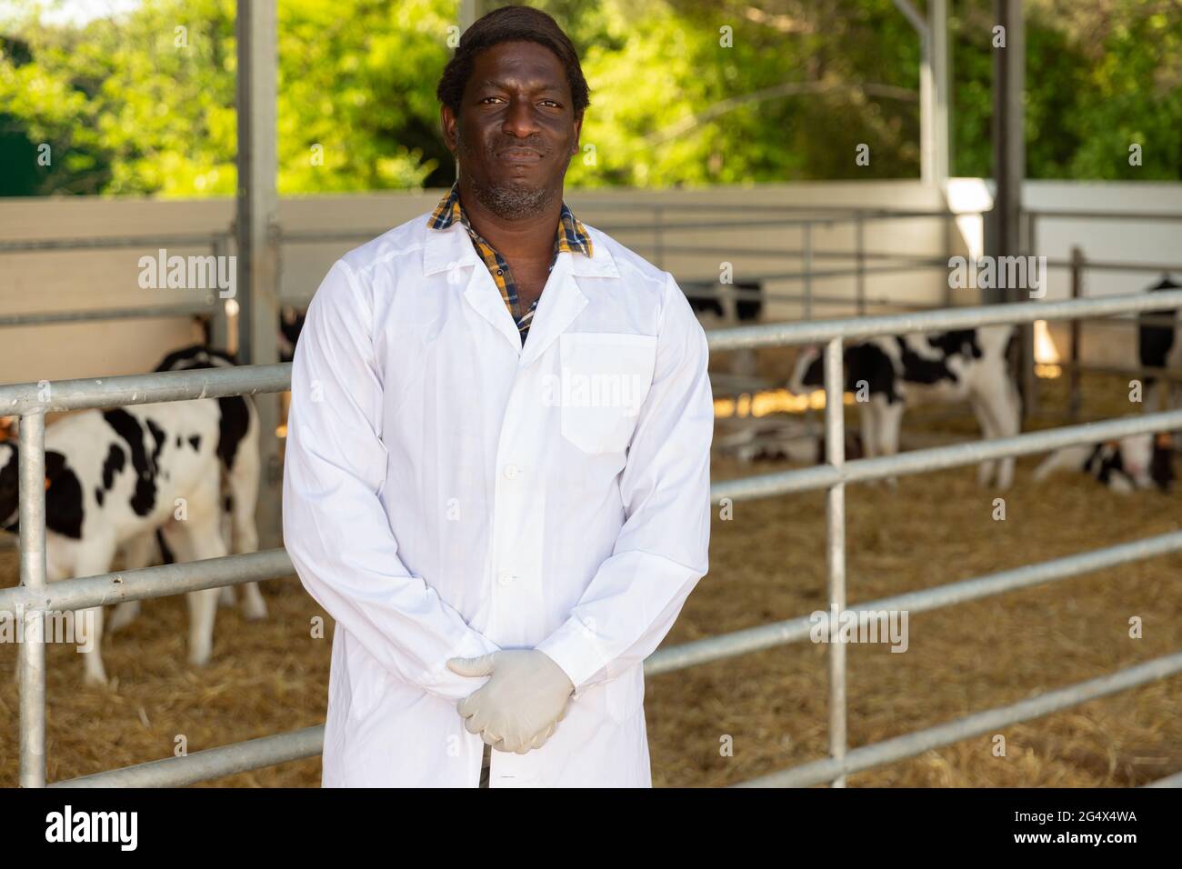 Black veterinarian farm hi-res stock photography and images - Alamy