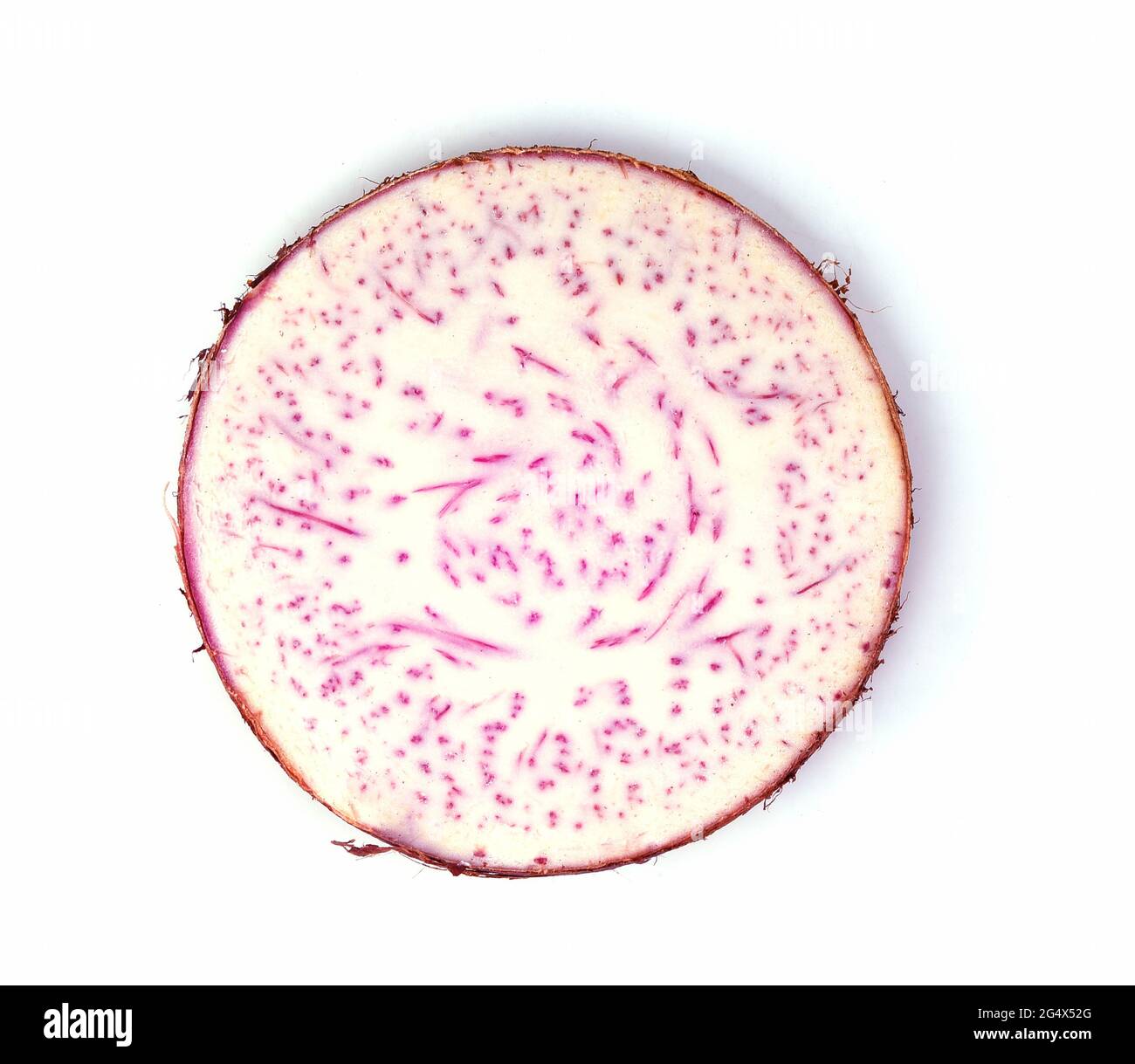 Purple taro root isolated hi-res stock photography and images - Alamy