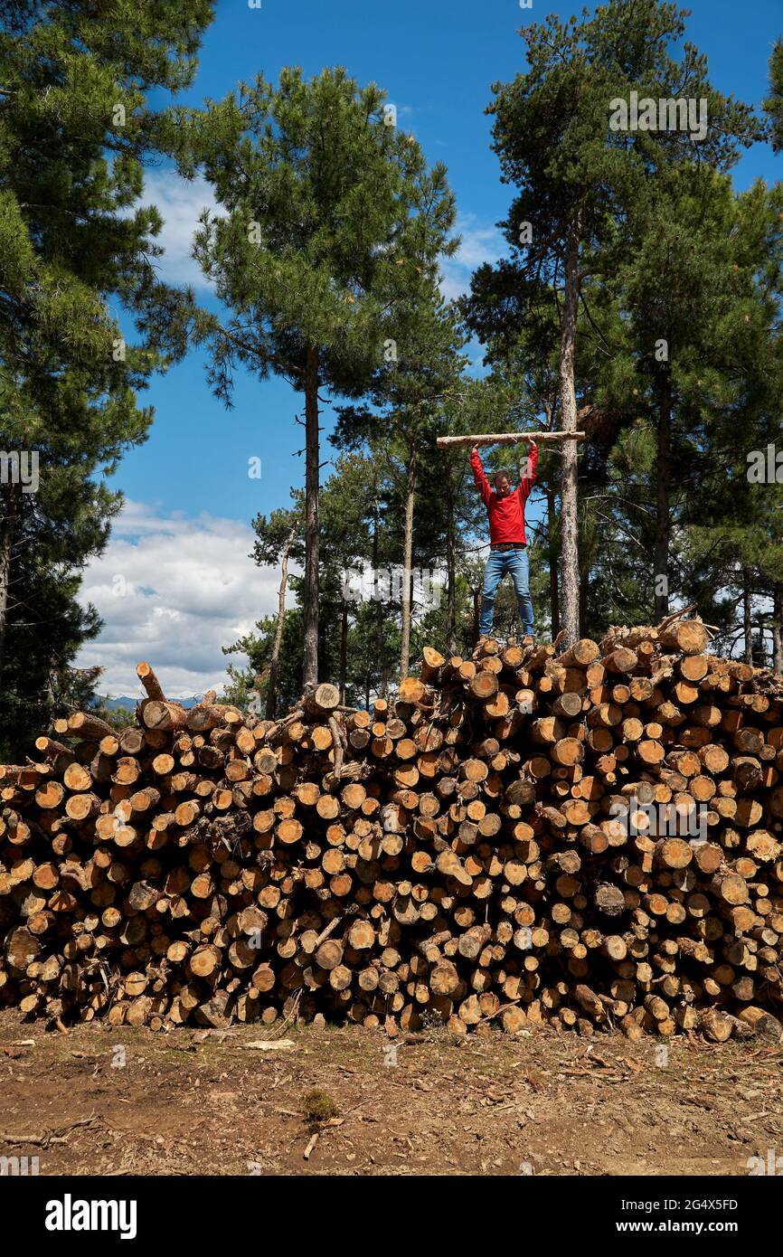 Mid adult man holding log while balancing on tree trunks in forest ...
