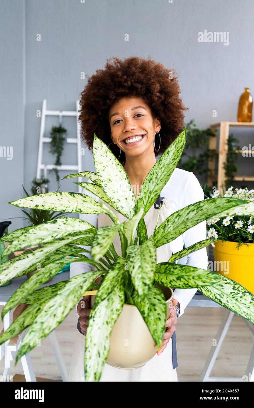 Smiling positive female florist hi-res stock photography and images - Alamy