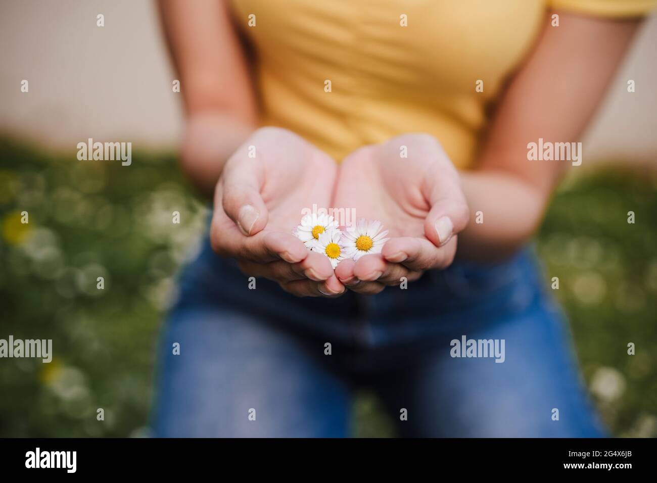 Cupped Hands Holding Flowers High Resolution Stock Photography and ...