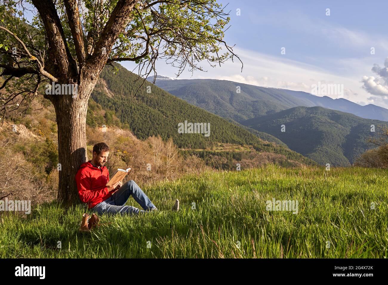 Adult male reading book hi-res stock photography and images - Alamy