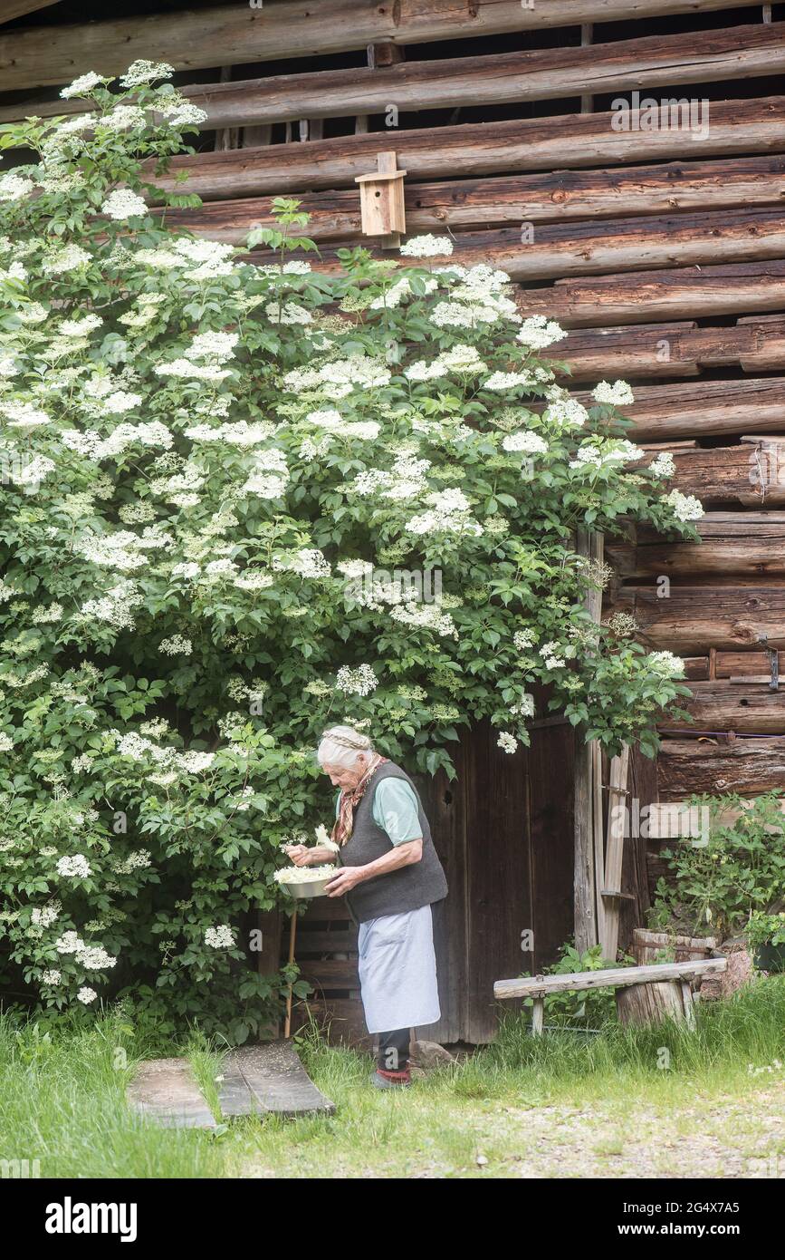Female plucking hi-res stock photography and images - Alamy