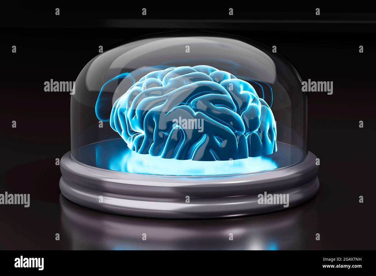Brain in jar hi-res stock photography and images - Alamy