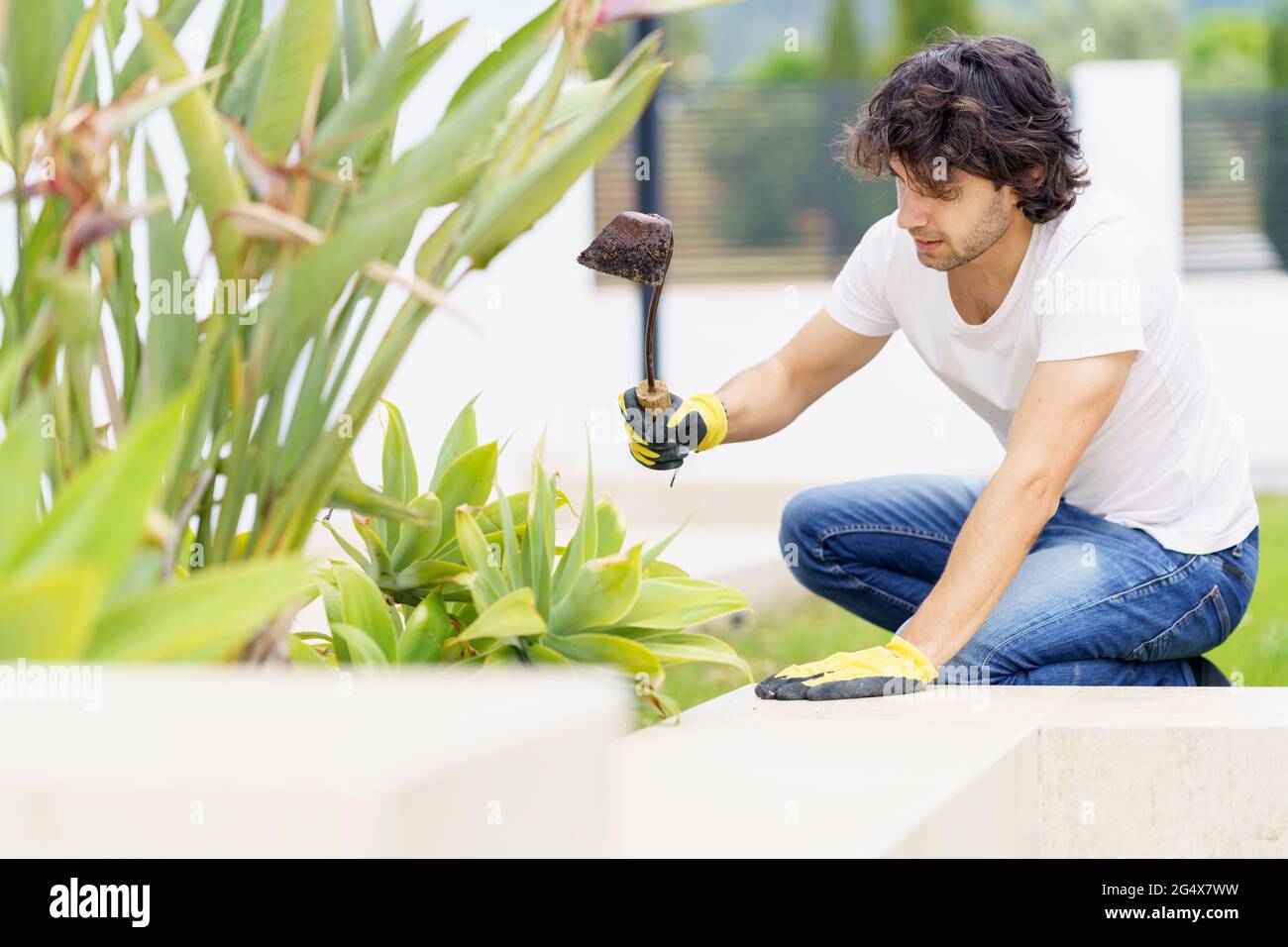 Man fixing garden of new house Stock Photo - Alamy