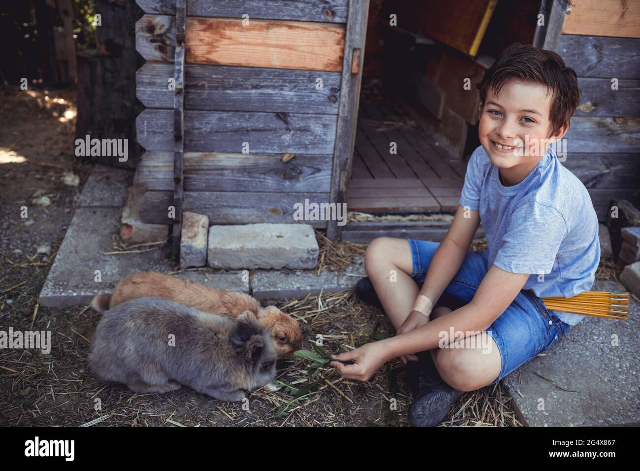 Rabbit in the yard hi-res stock photography and images - Alamy