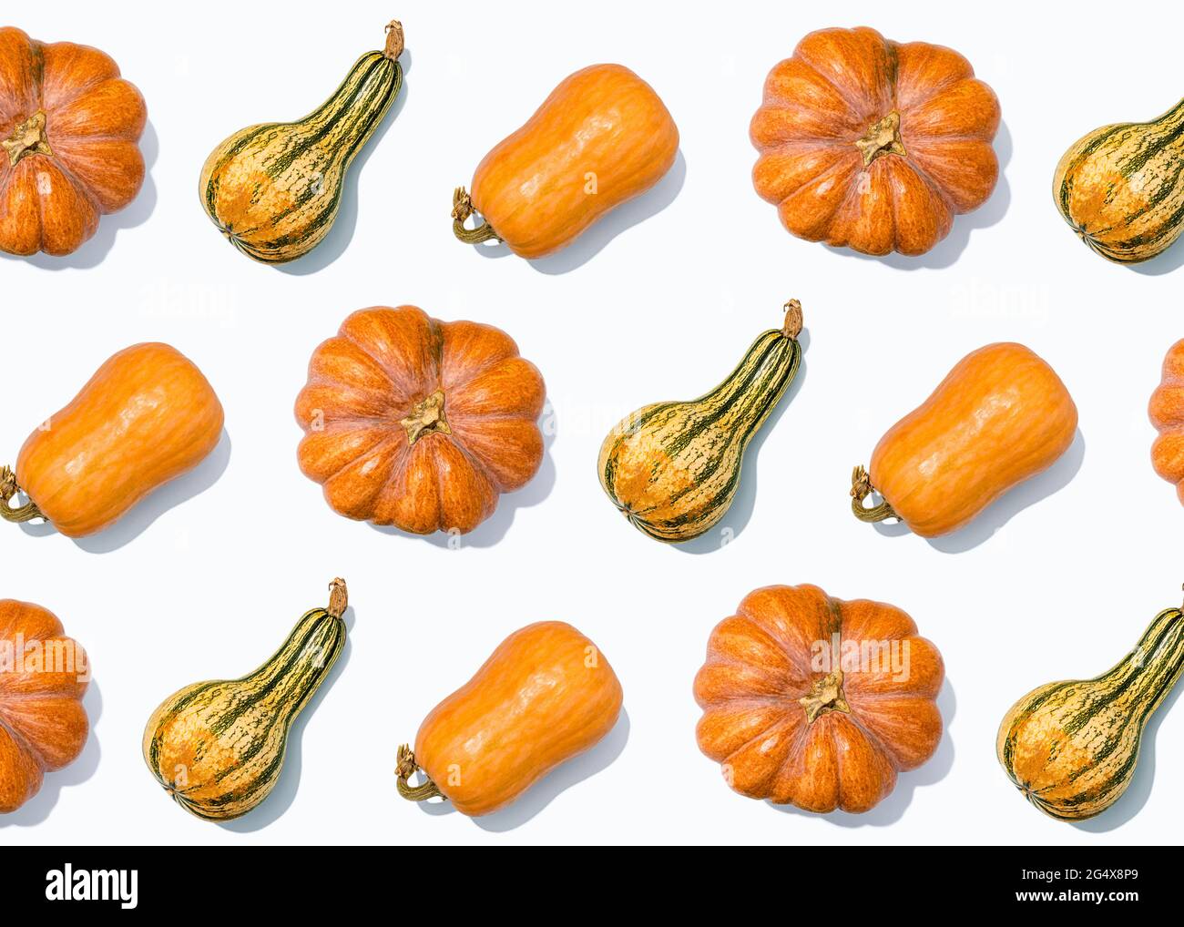 Pattern of various pumpkins and squashes flat laid against white ...