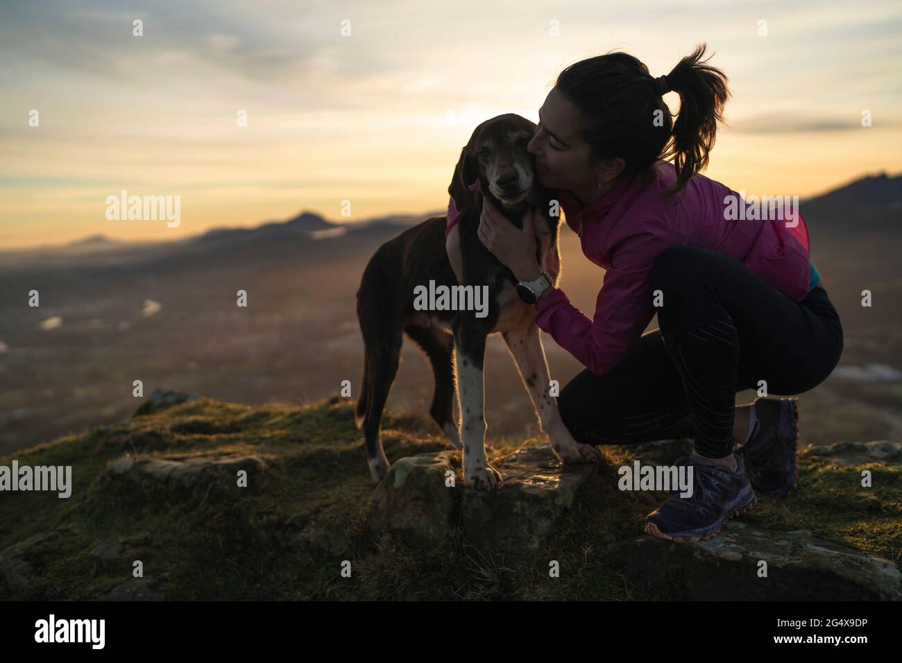 Dog kneeling hi-res stock photography and images - Alamy