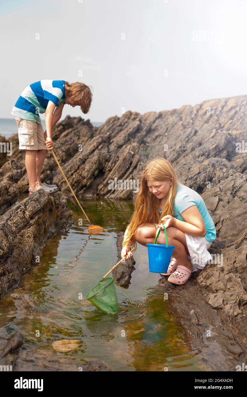 Searching Rock Pool High Resolution Stock Photography and Images - Alamy
