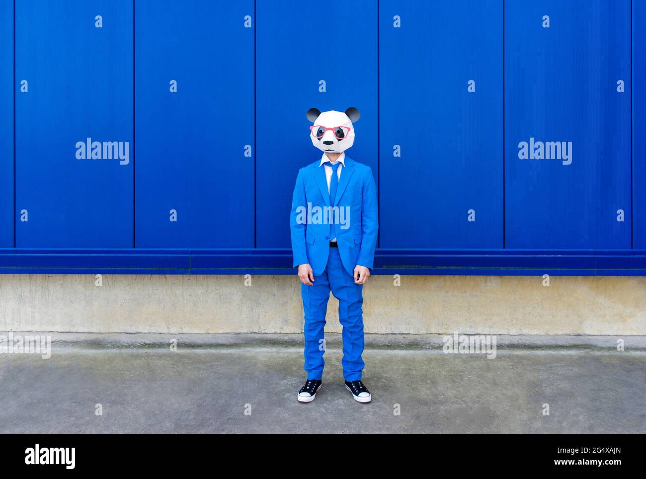 Man wearing vibrant blue suit and panda mask standing in front of blue ...