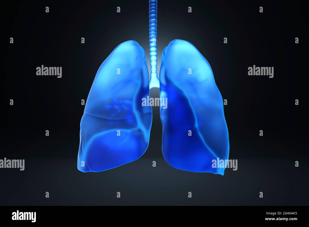 Human lungs hi-res stock photography and images - Alamy