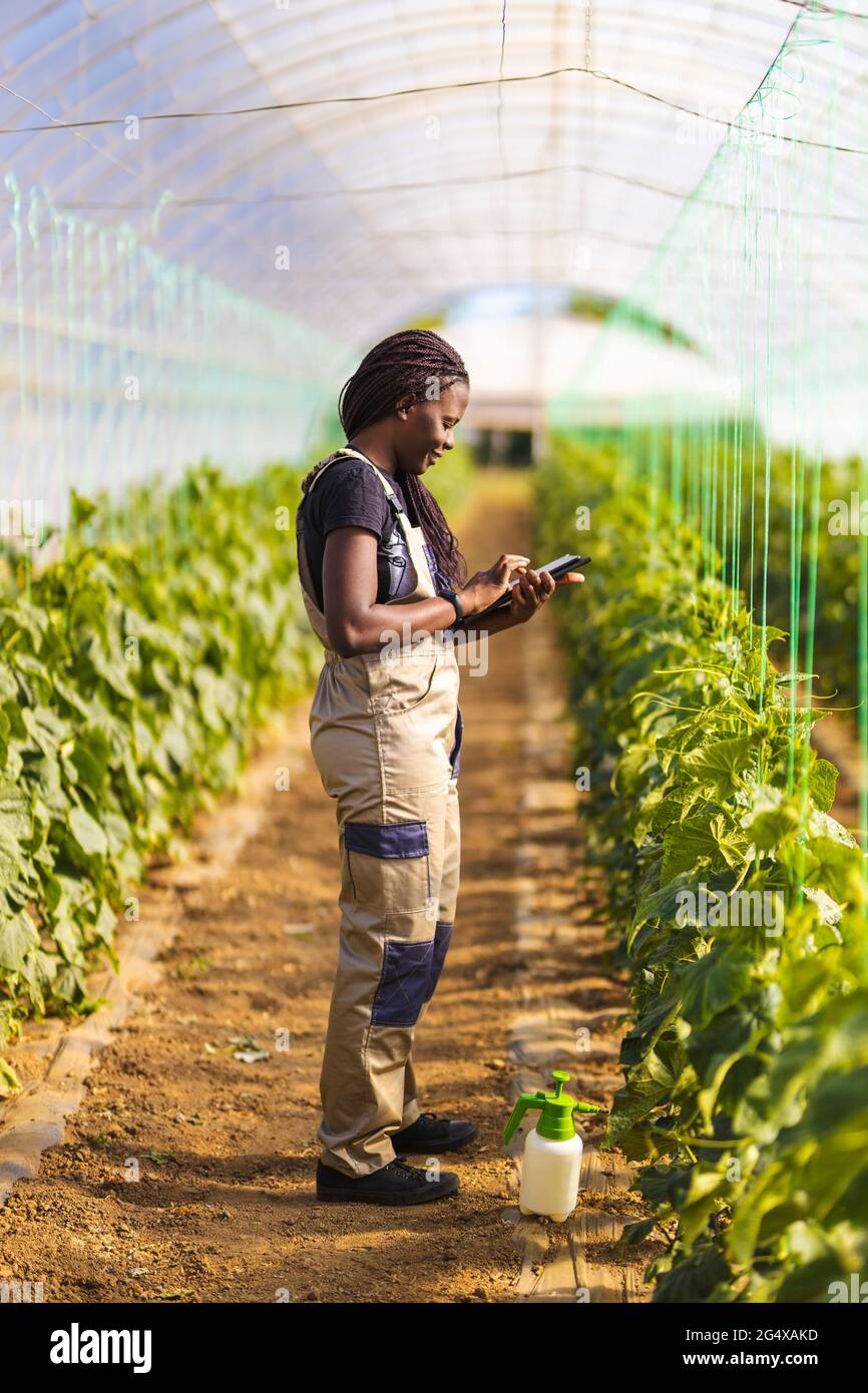 African greenhouse tablet hi-res stock photography and images - Alamy