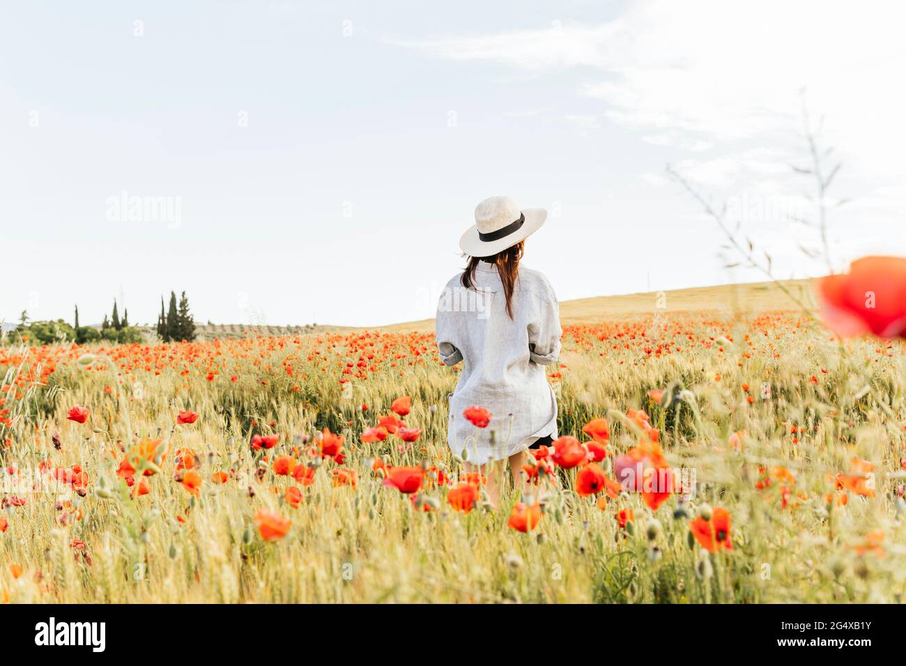 Wearing poppy hi-res stock photography and images - Alamy