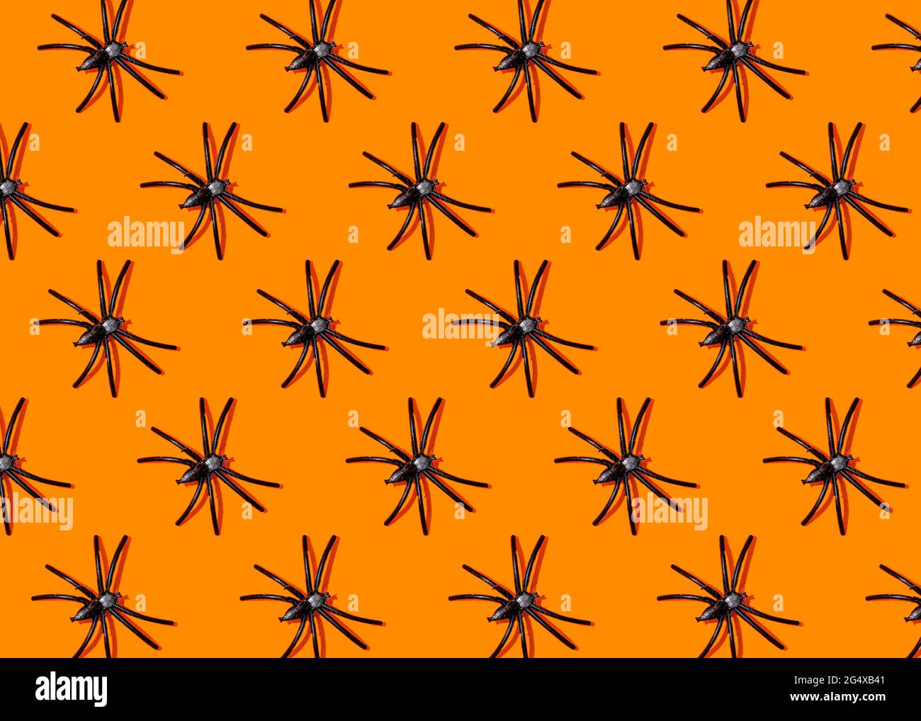 Black spiders hi-res stock photography and images - Alamy