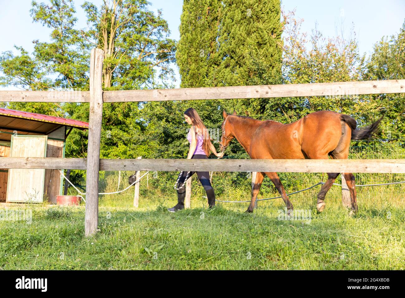 Ranch owner hi-res stock photography and images - Alamy