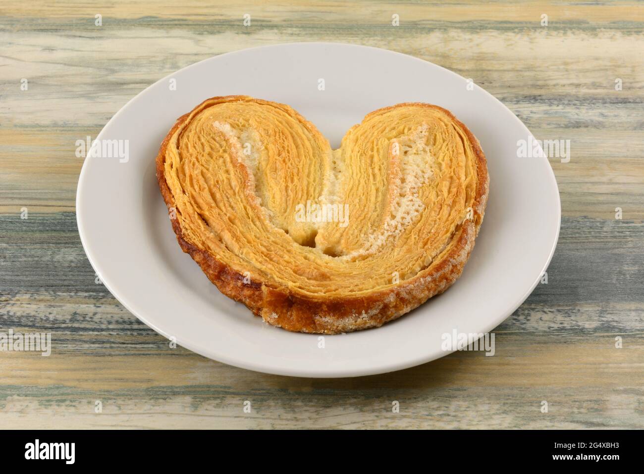 Palmera palmera hi-res stock photography and images - Alamy