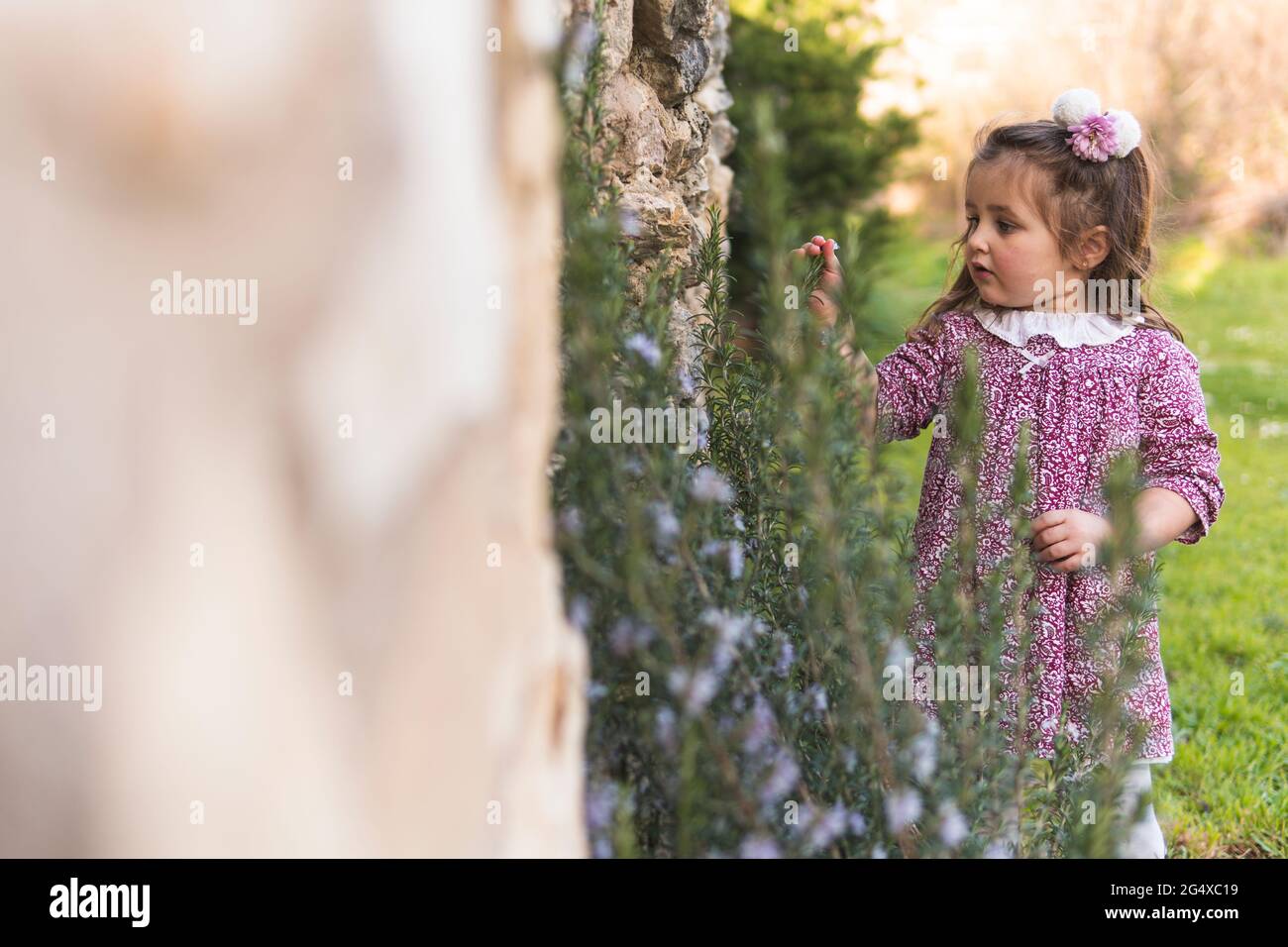 Curious cute girl playing plants during springtime Stock Photo - Alamy