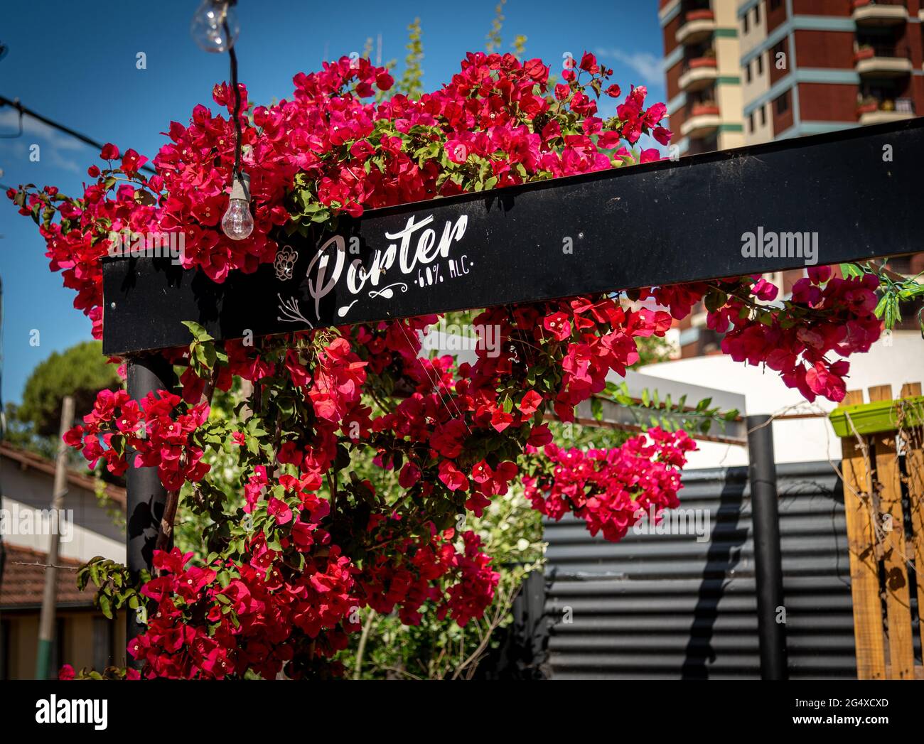 Cafe porter hi-res stock photography and images - Alamy