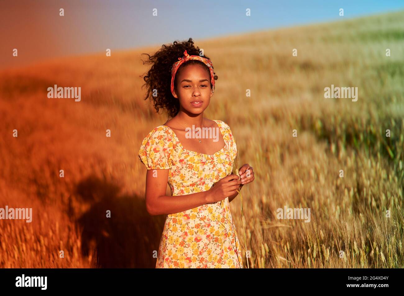 Beautiful crop hi-res stock photography and images - Alamy