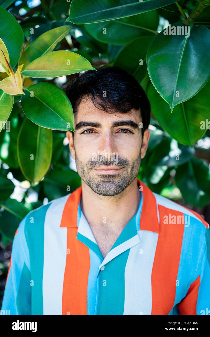 Green leaves above handsome man Stock Photo - Alamy