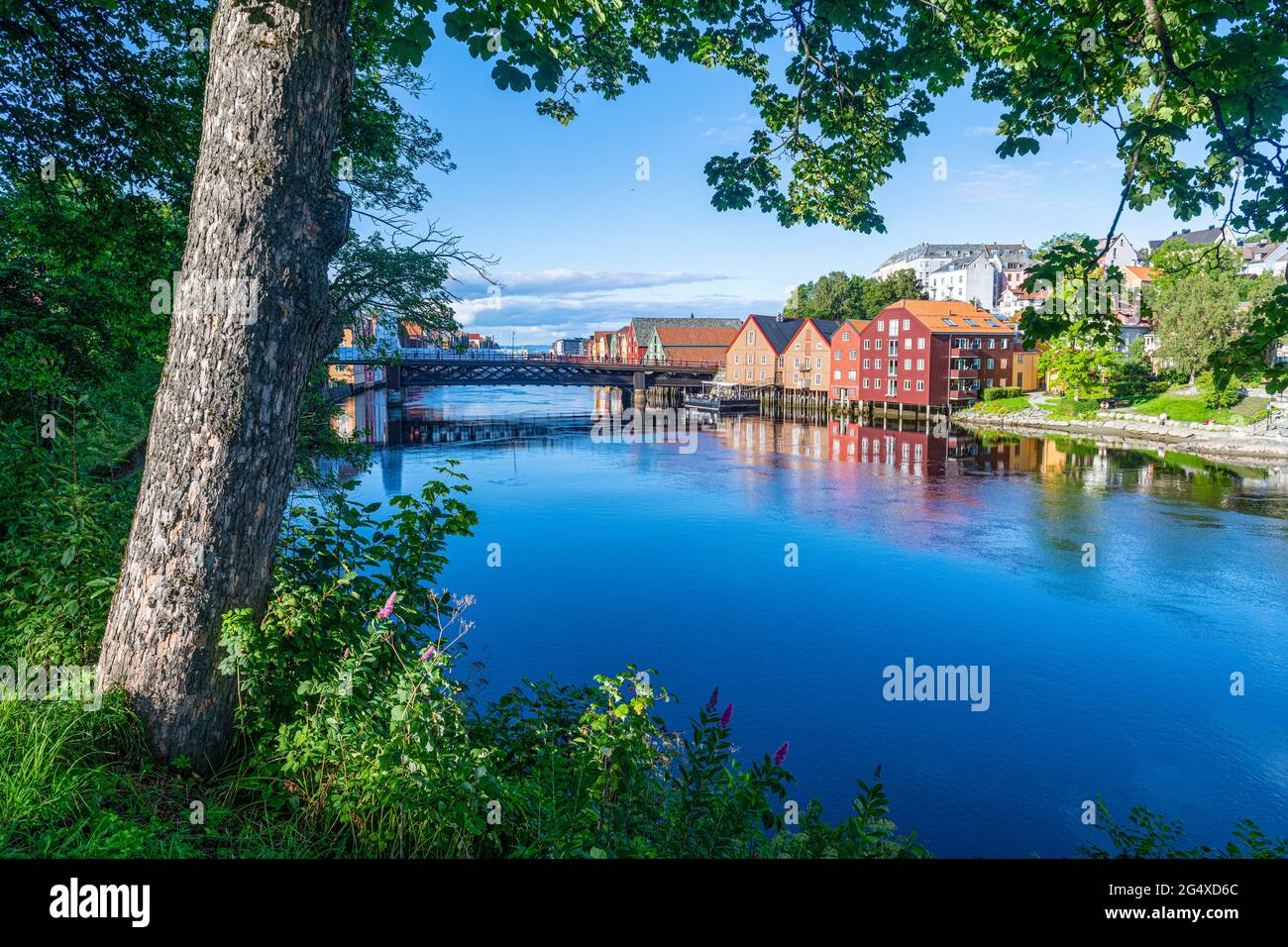Norway trondheim waterfront hi-res stock photography and images - Alamy