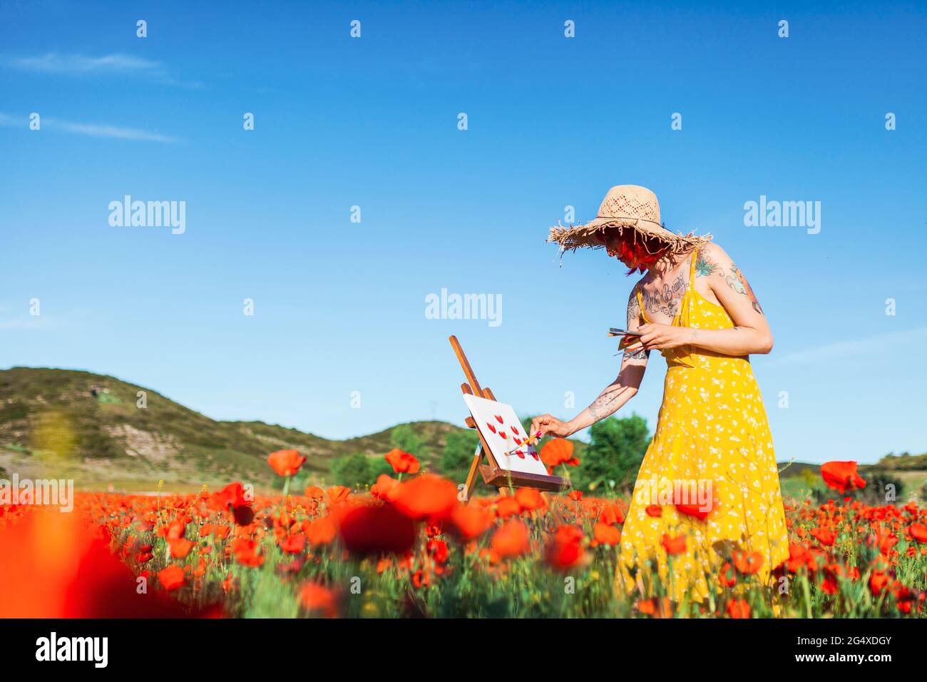 Female artist painting in poppy field on sunny day Stock Photo - Alamy
