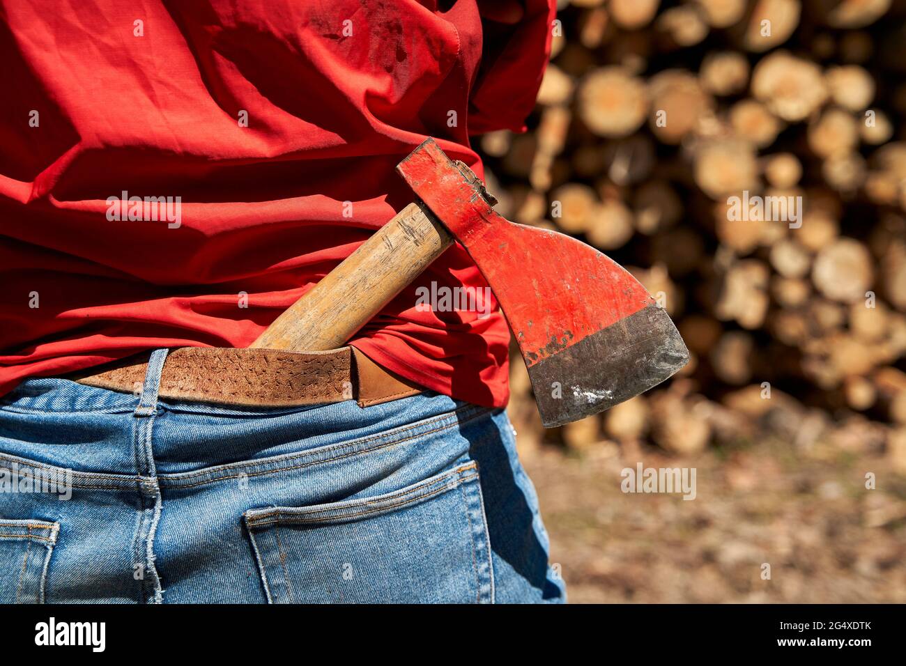 Male logger with axe standing in forest Stock Photo - Alamy